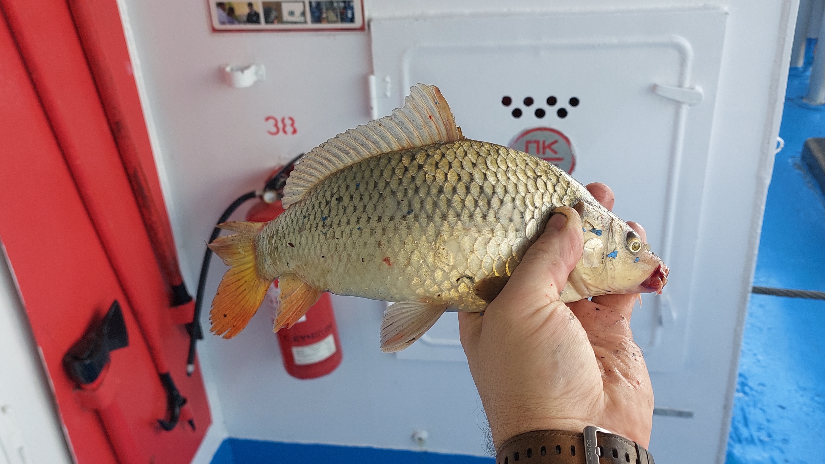 Рыбалка в Астрахани