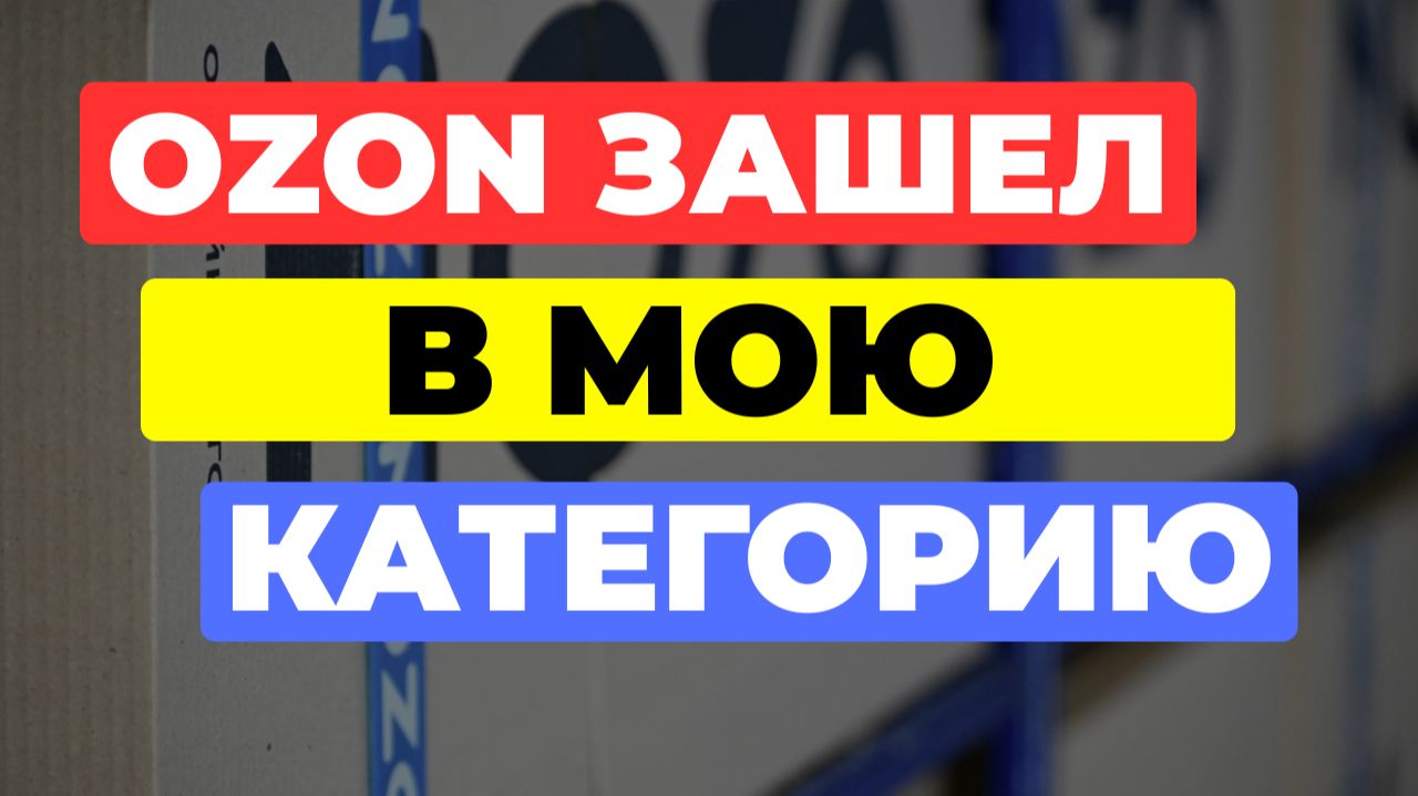 Бизнес на маркетплейсе Ozon для продавцов / Ozon Seller