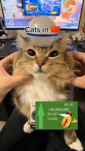 Америка против Китая🇨🇳