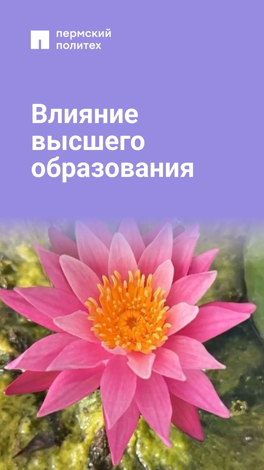 Shorts от Пермского Политеха