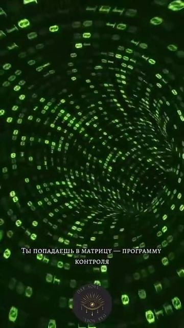 Ты - душа, пришедшая в игру под названием ''Земля''