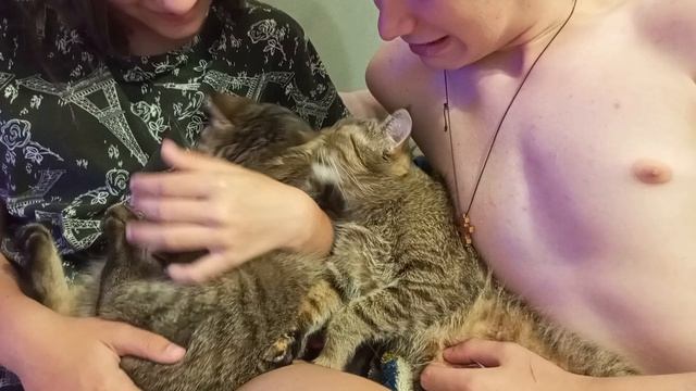 Коты и дети 💖