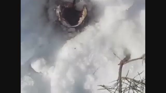 РЫБАЛКА НА СЕВЕРЕ