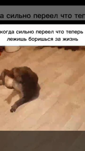 Бывает и такое