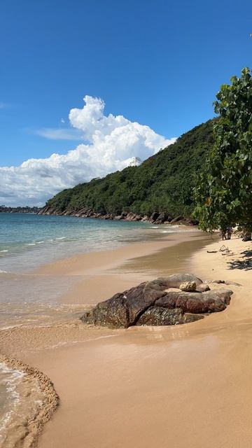 Стоит ли идти на Jungle Beach? Дикий пляж, обезьяны и джунгли | Унаватуна, Шри-Ланка #шриланка