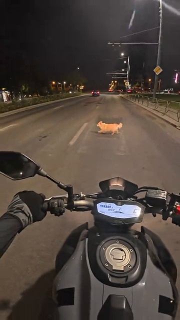 Умнее, чем некоторые люди
