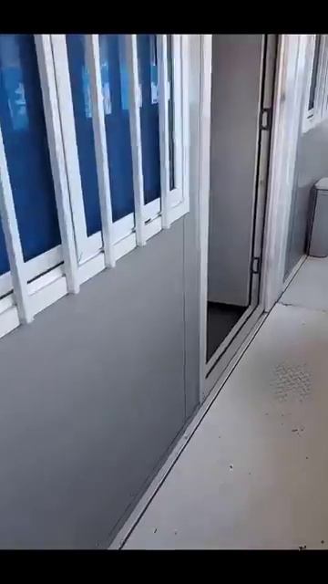 Кто здесь главный 😼 Кошки или собаки — битва за твоё сердце 🐶 2026