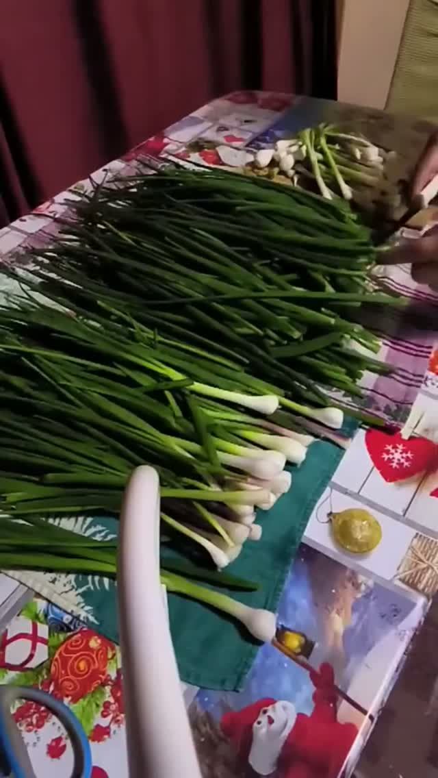 Готовлю лук на зиму