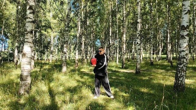 Упражнения с шаром Тайцзи (5)