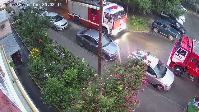 Рубрика Домовая камера