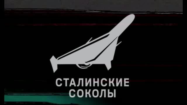 Специально для ″Сталинские Соколы″
