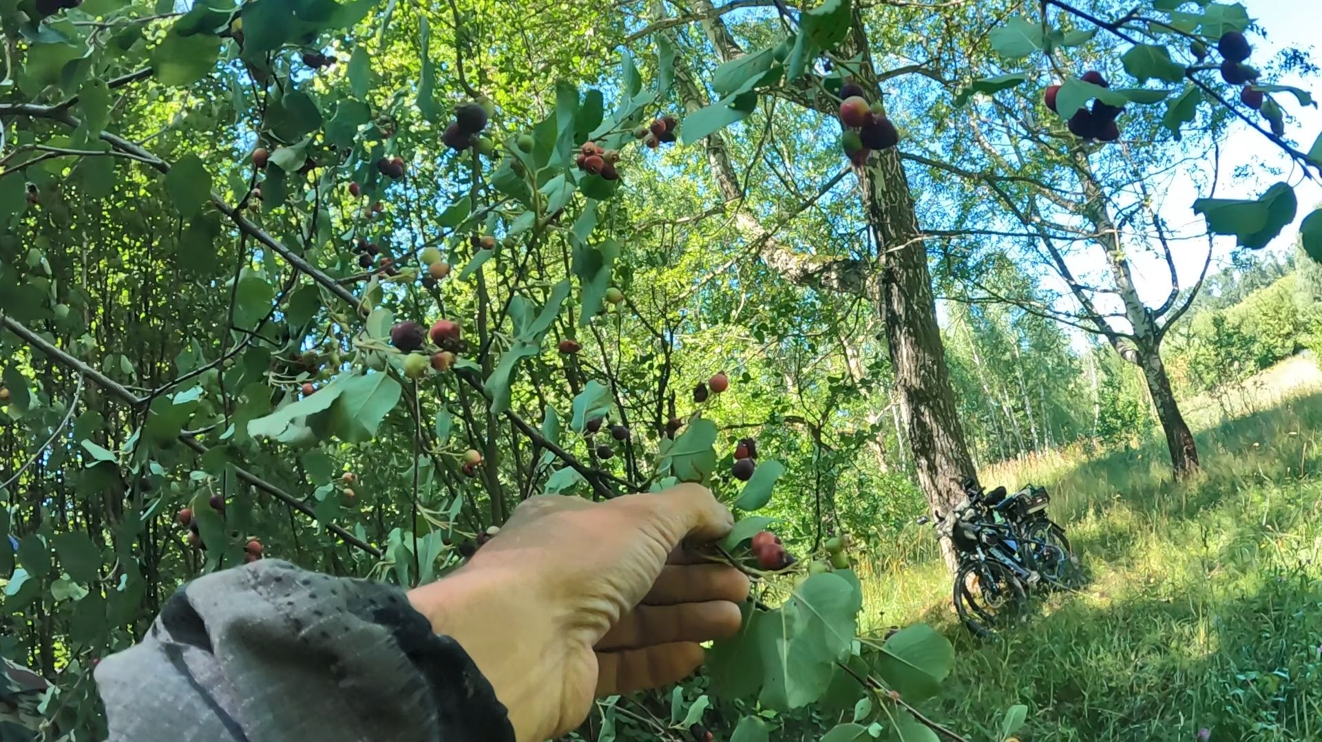 Разное