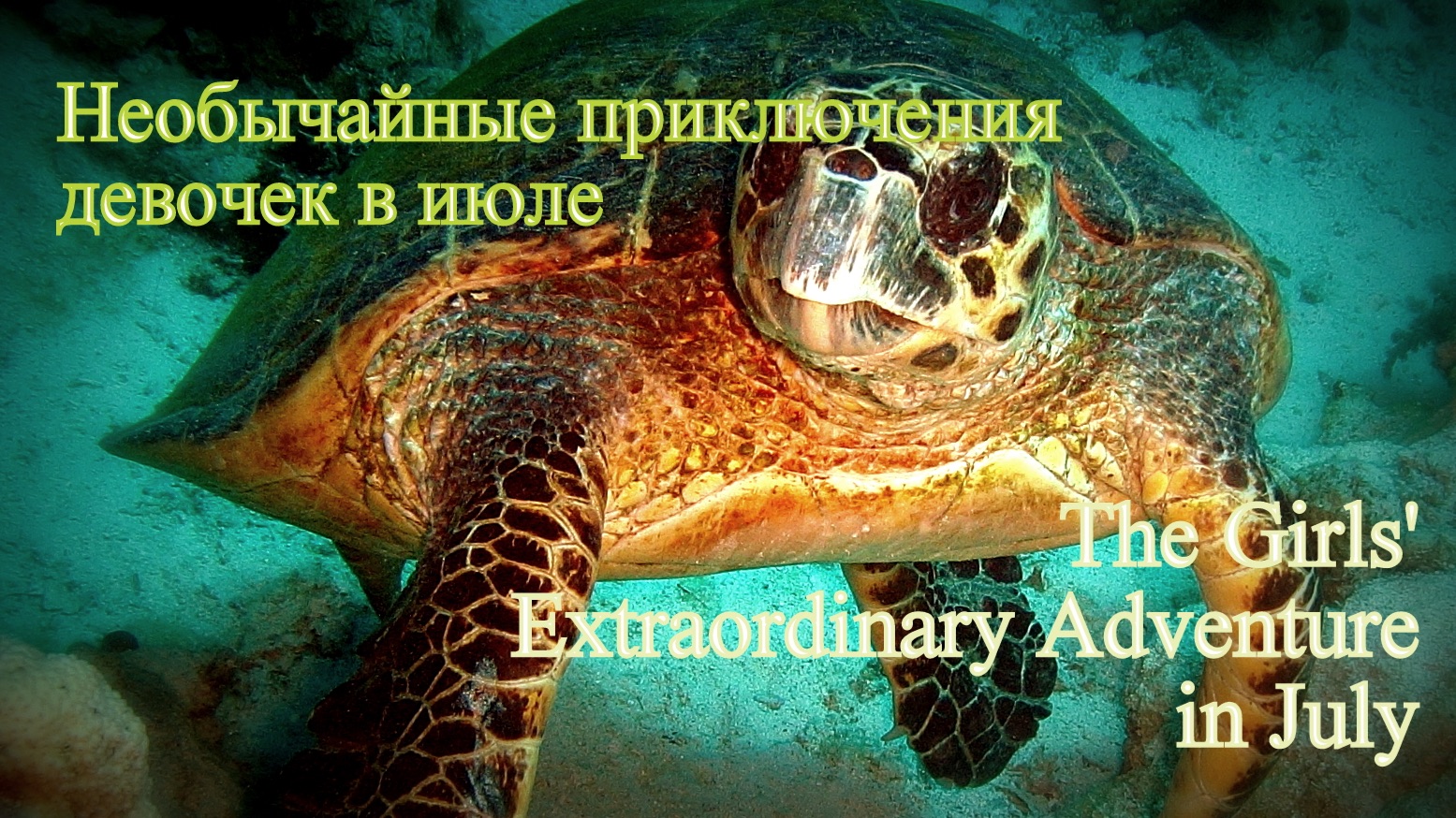 Необычайные приключения девочек в июле