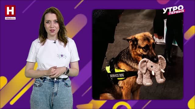 «Дни Достоевского», Эрлинг Холанн, безработная овчарка и аисты | В ТРЕНДЕ