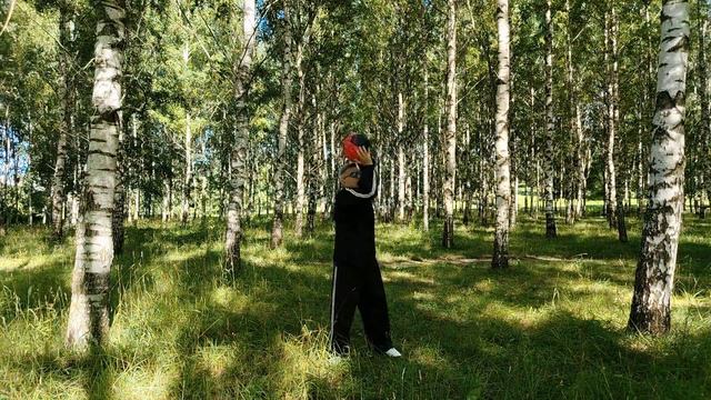 Упражнения с шаром Тайцзи (2)