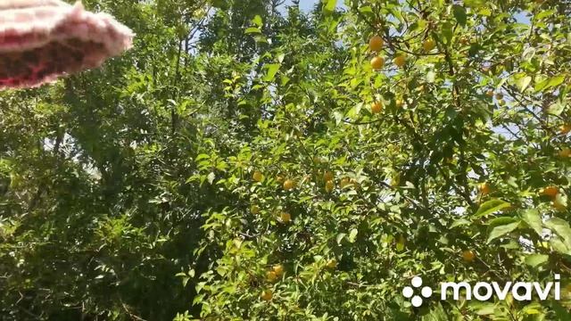 Наши прогулки .Черноморское.