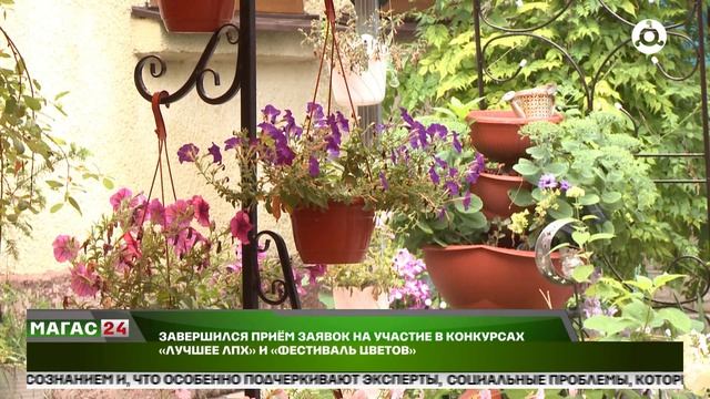 В Ингушетии завершился прием заявок на участие в конкурсах "Лучшее ЛПХ" и "Фестиваль цветов"