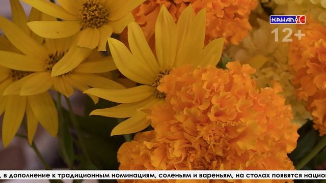 Банки с летом и кружево традиций: серовские ветераны приглашают превратить ДКЖ в райский сад