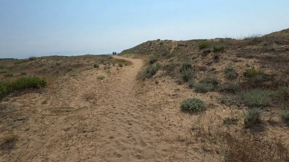 Дорога в дюнах к Чёрному морю. Чёрное море. Дюны.