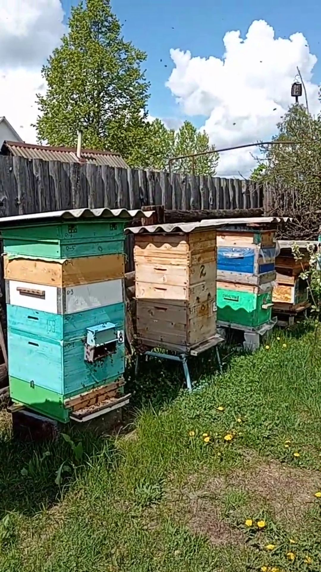 Красота на Пасеке
