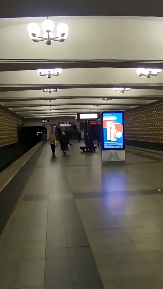 Станция метро Марьино интерьер, пассажиры, поезд Москва Фрагмент 25
