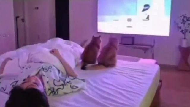 Женщина случайно оставила телевизор включённым