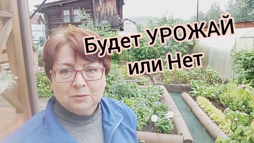Будет УРОЖАЙ или НЕТ/🤔 17.07.26г