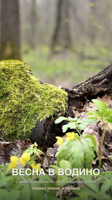 Село Водино летом: поля до горизонта и большое небо. Красноярский район, ~20 км от Самары.