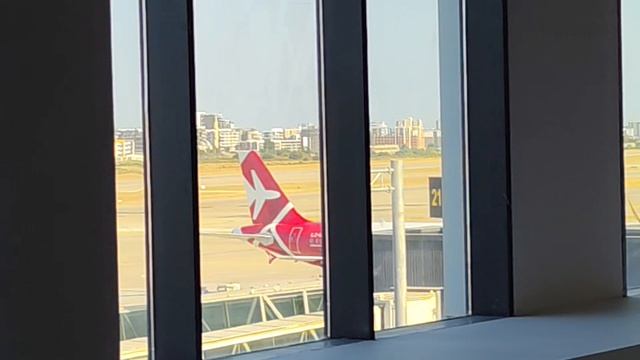 руление красивого аэрбаса а 320