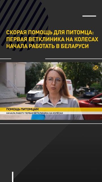 Скорая помощь для питомца. В Беларуси начала работать первая ветклиника на колесах