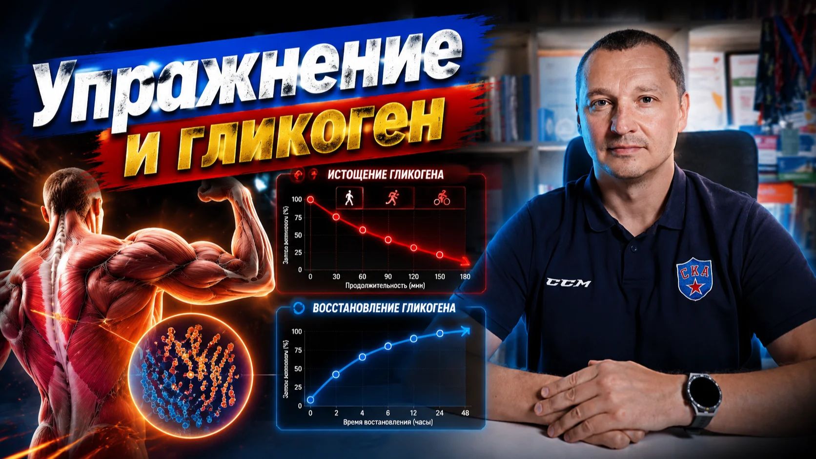 Расход и восстановление мышечного гликогена