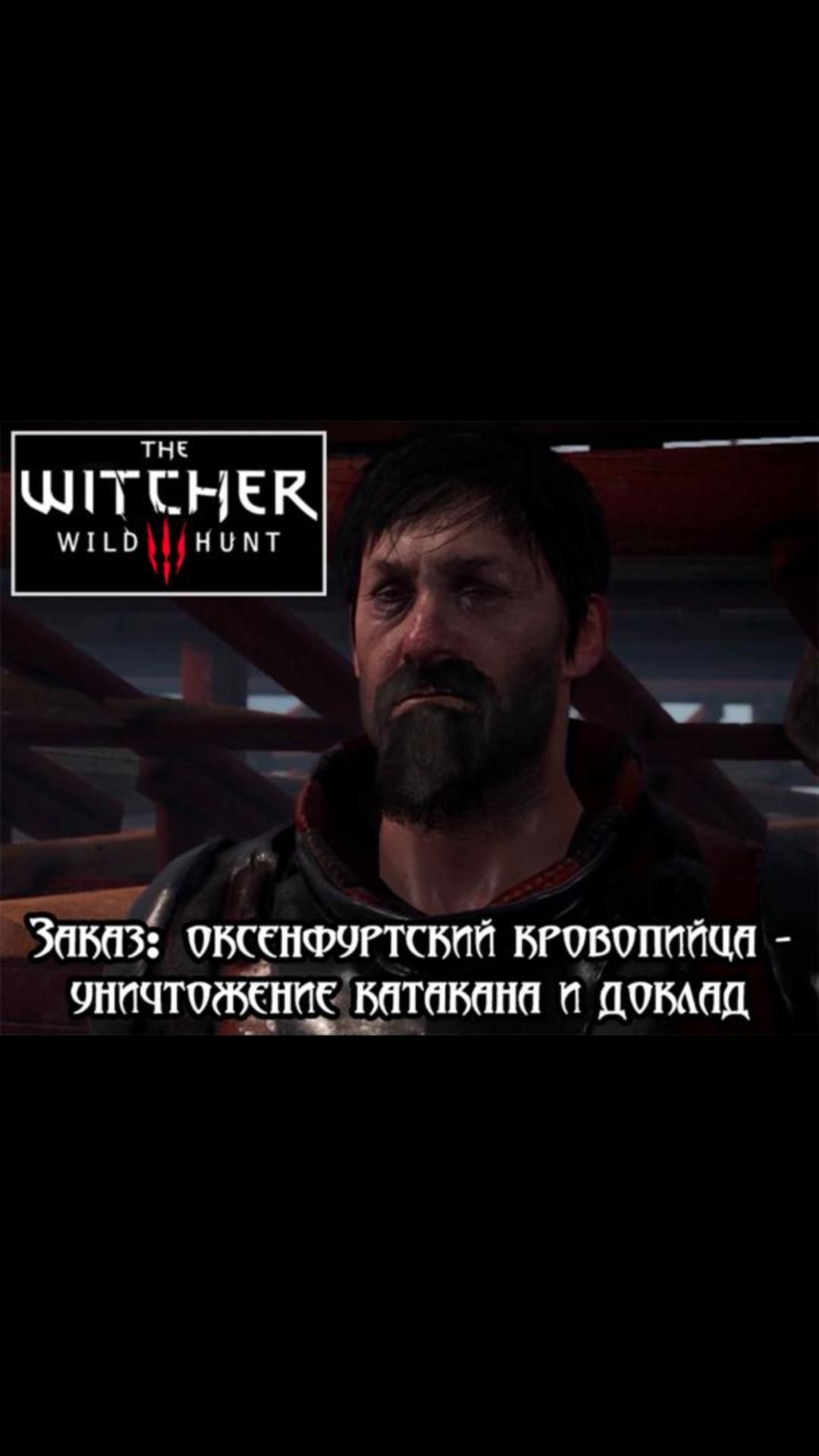 Уничтожение катакана и доклад- заказ: оксенфуртский кровопийца | #witcher3 #games #rpg