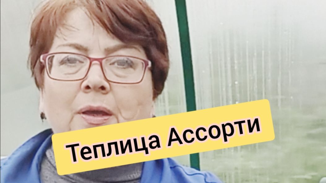 Работа в теплице АССОРТИ.НУЖНО СДЕЛАТЬ.17.07.26г