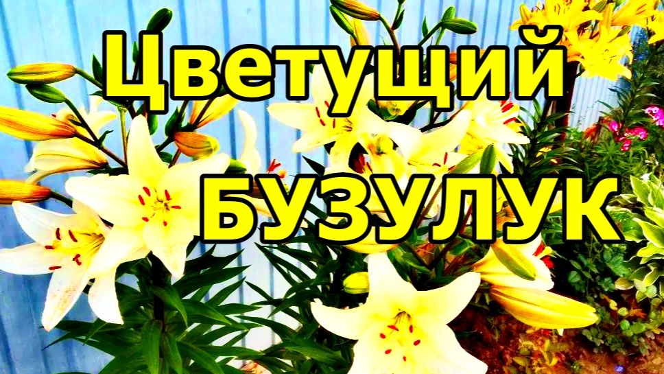 Бузулук