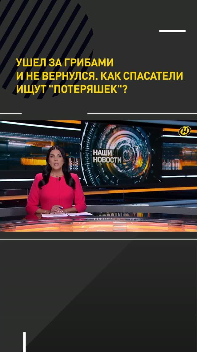 Ушел за грибами и не вернулся. Как спасатели ищут "потеряшек"?