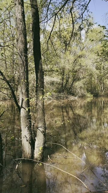 Село Водино в Красноярском районе Самарской области с высоты птичьего полёта