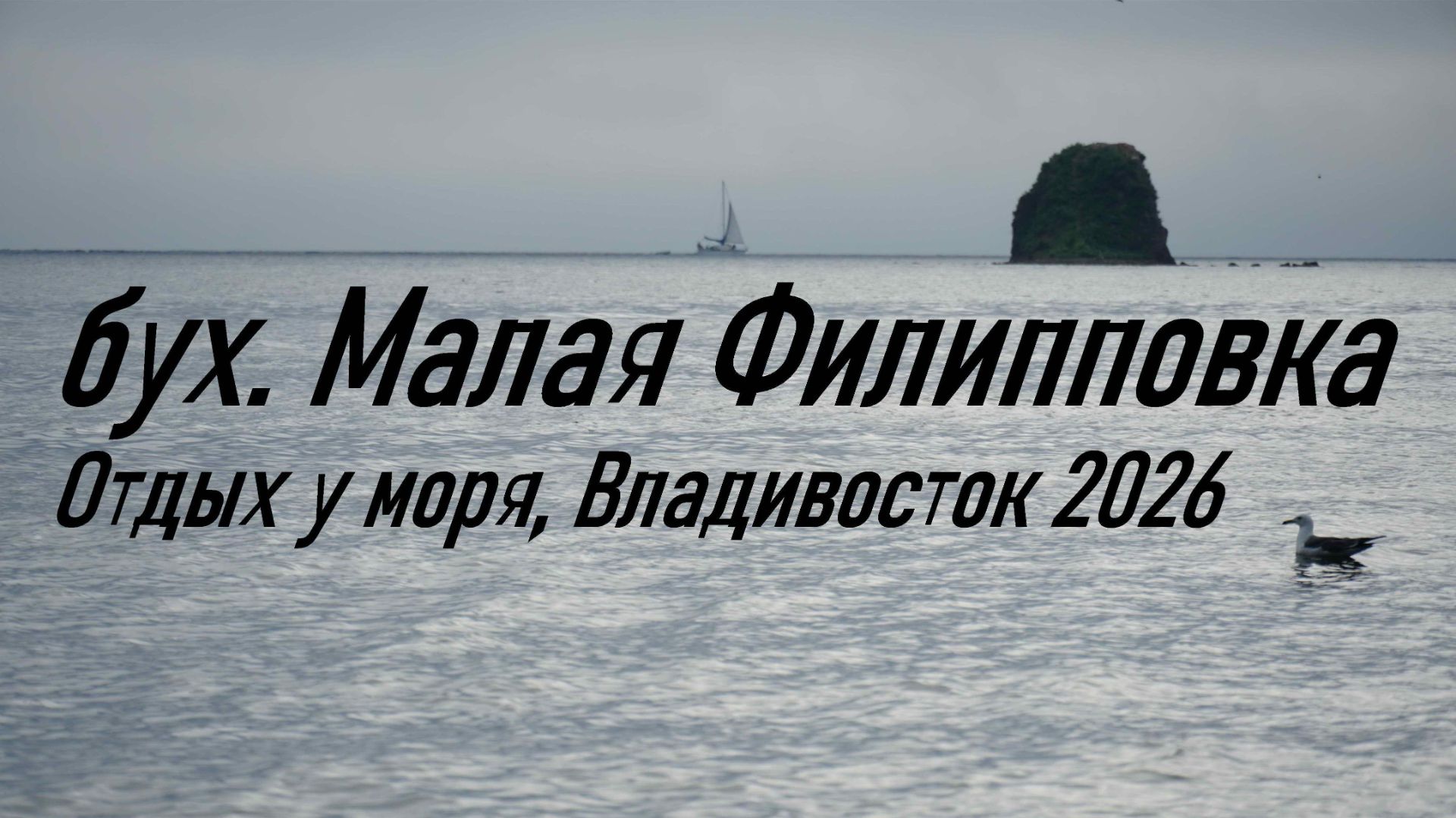 Идём к морю в бух. Малая Филипповка, о. Русский, отдых у моря, Владивосток 2026 г.