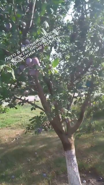 Донской Туризм