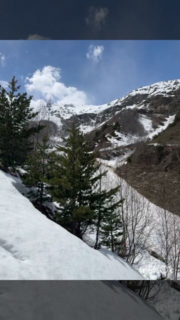 В объятиях гор и шепоте леса: место, где душа отдыхает🏞Горы зовут, лес шепчет: пора в путь❤️