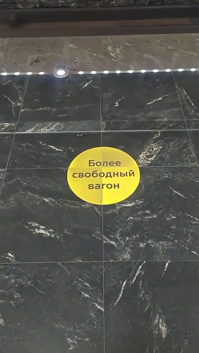 Станция метро Шипиловская интерьер, пассажиры, поезд Москва Фрагмент 17