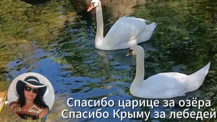 Они такие разные! Восхищаюсь этой красотой!!