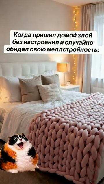 Котость