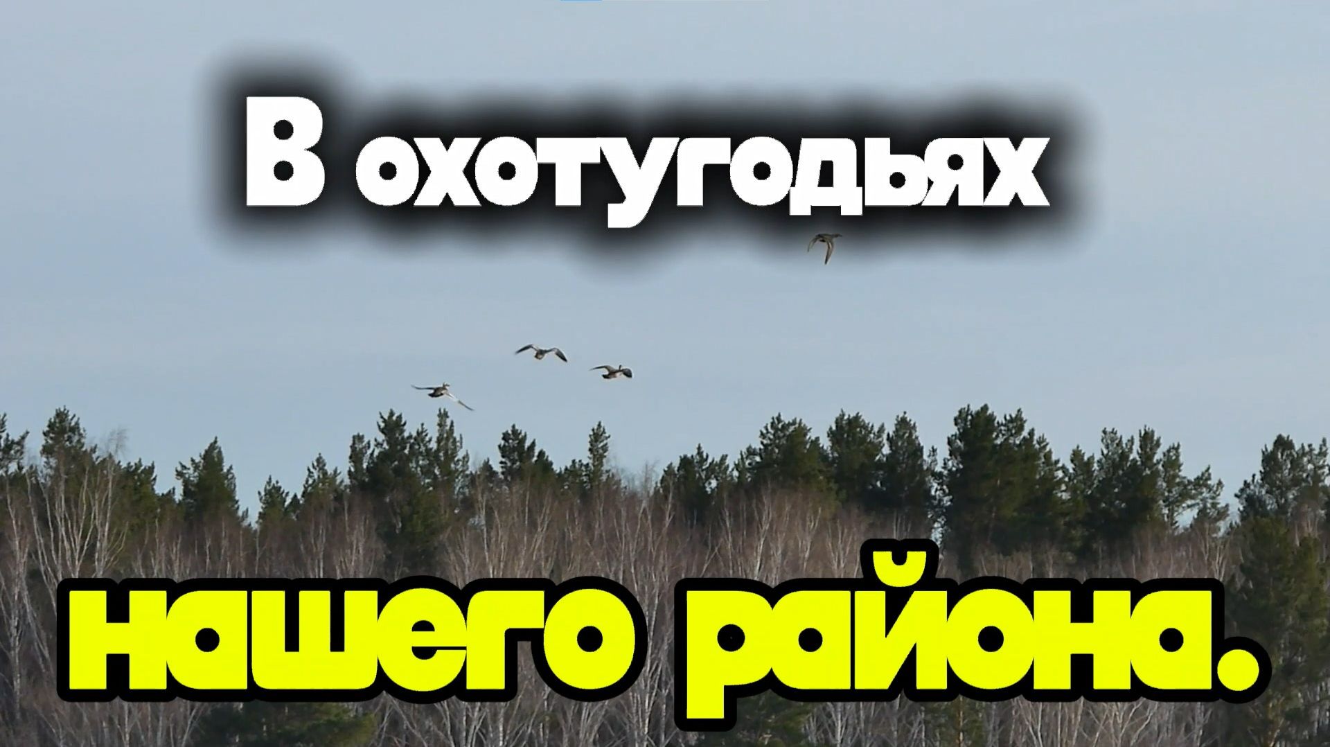 Природа. Дикие животные, красивые места.
