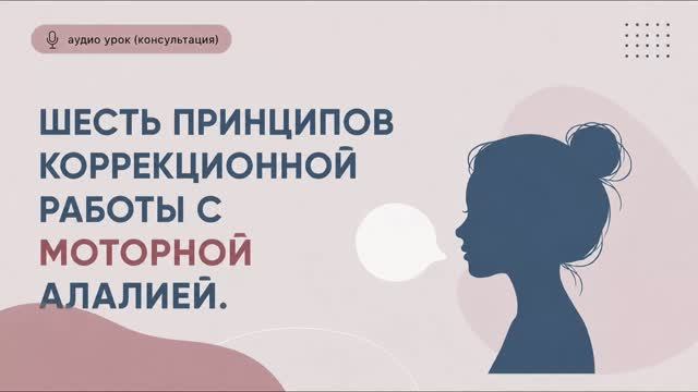 Шесть принципов коррекционной работы с моторной алалией.