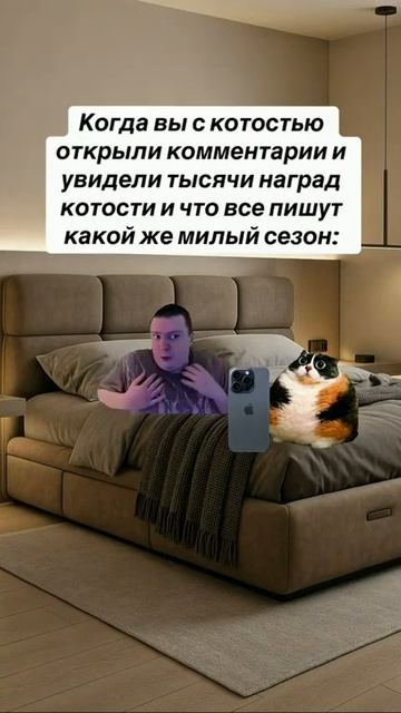 Котость