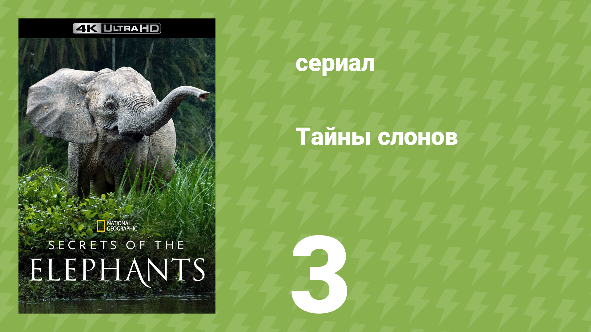 Тайны слонов 3 серия «Тропический лес» (документальный сериал, 2023)