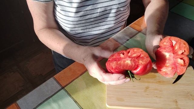 Томат Искушение.