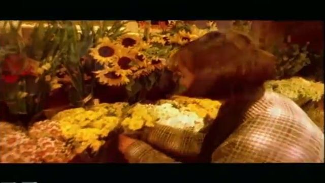 Dj Bobo 1.mp4