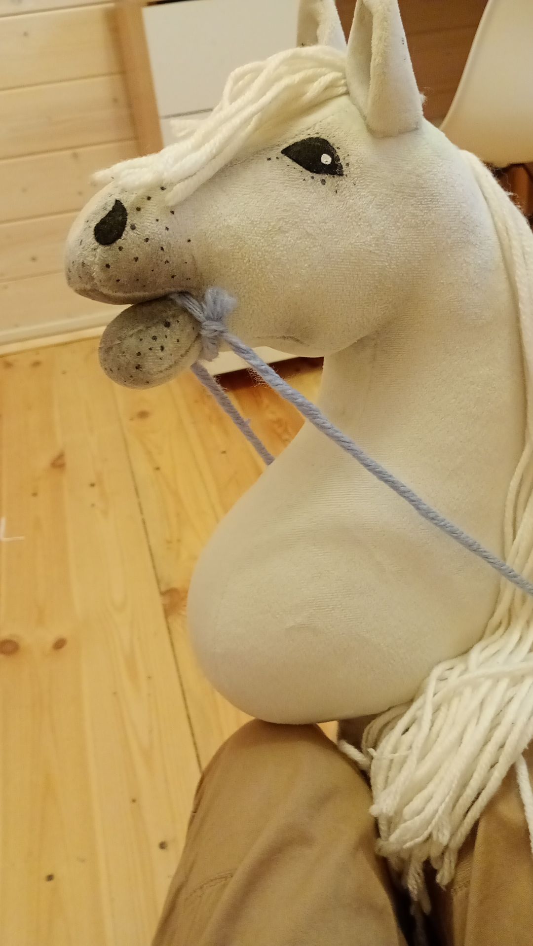 Хоббихорсинг