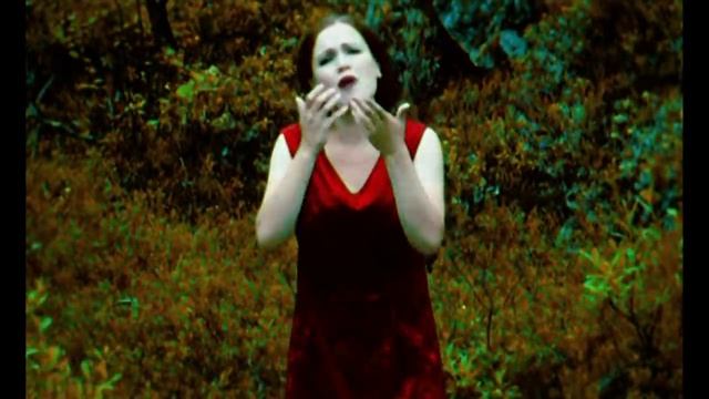 Nightwish - slipping sun